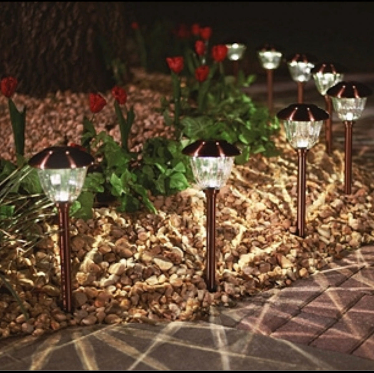 Energizer LED Solar Pathway Lights New Model , 8-pack Powered By Energ ...